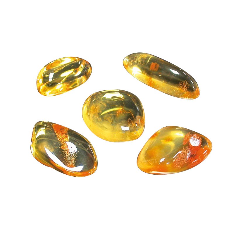 Ambre Pierre : Tout Savoir sur la Résine Fossilisée